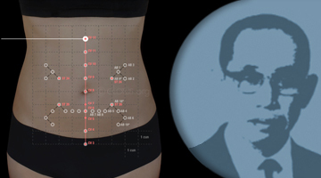 Abdominal Acupuncture Courses | Master Tung's Acupuncture | eLotus CORE